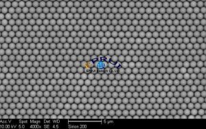 晶圆检测设备校准专用PSL标准球 - 上海伊普瑞生物